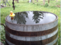 The Rain Barrel Effect