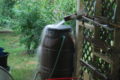 The Rain Barrel Effect