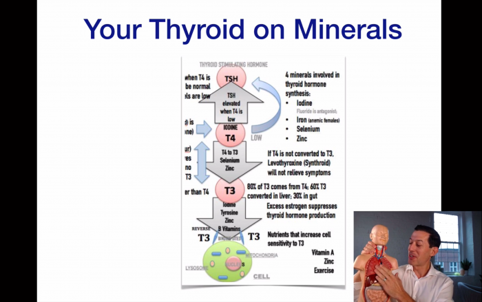 Thyroid Rebalancing in Boston - Thyroid Rebalancing Accelerator